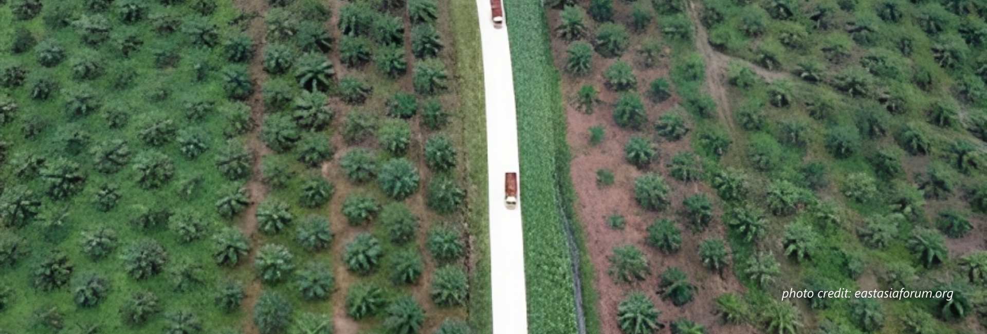 European Union Palming off Deforestation Regulation to Smallholders in ... European Union Palming off Deforestation Regulation to Smallholders in ...